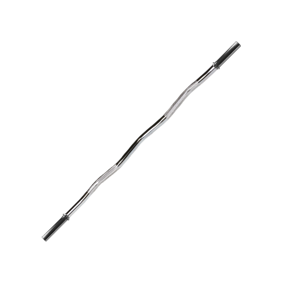 Z 28 – Bodytone International