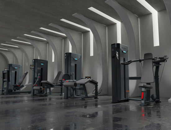 Forza Bold Chest Press – Bodytone International